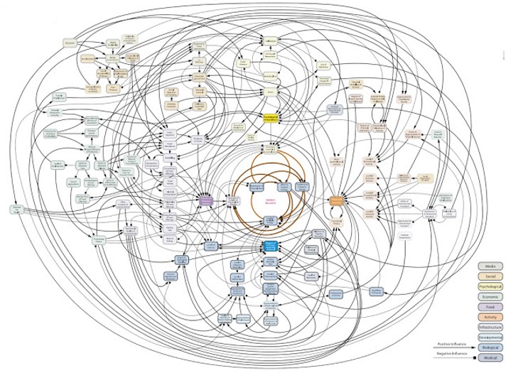 Complexity 101 – Rebel with Causation
